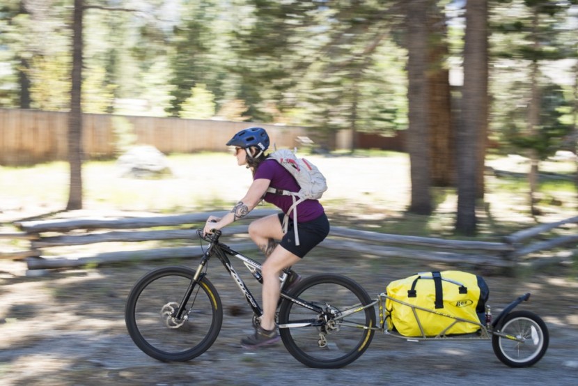 BOB Ibex Plus Review | Tested & Rated