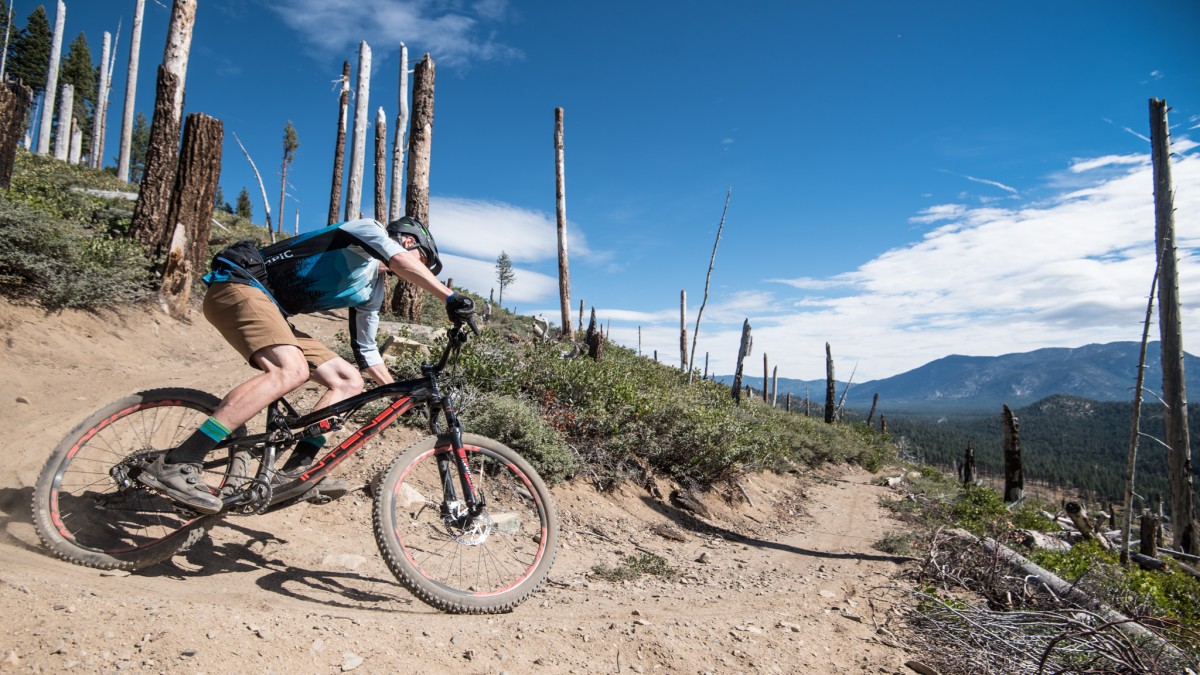 Intense Spider Foundation Review | Tested & Rated