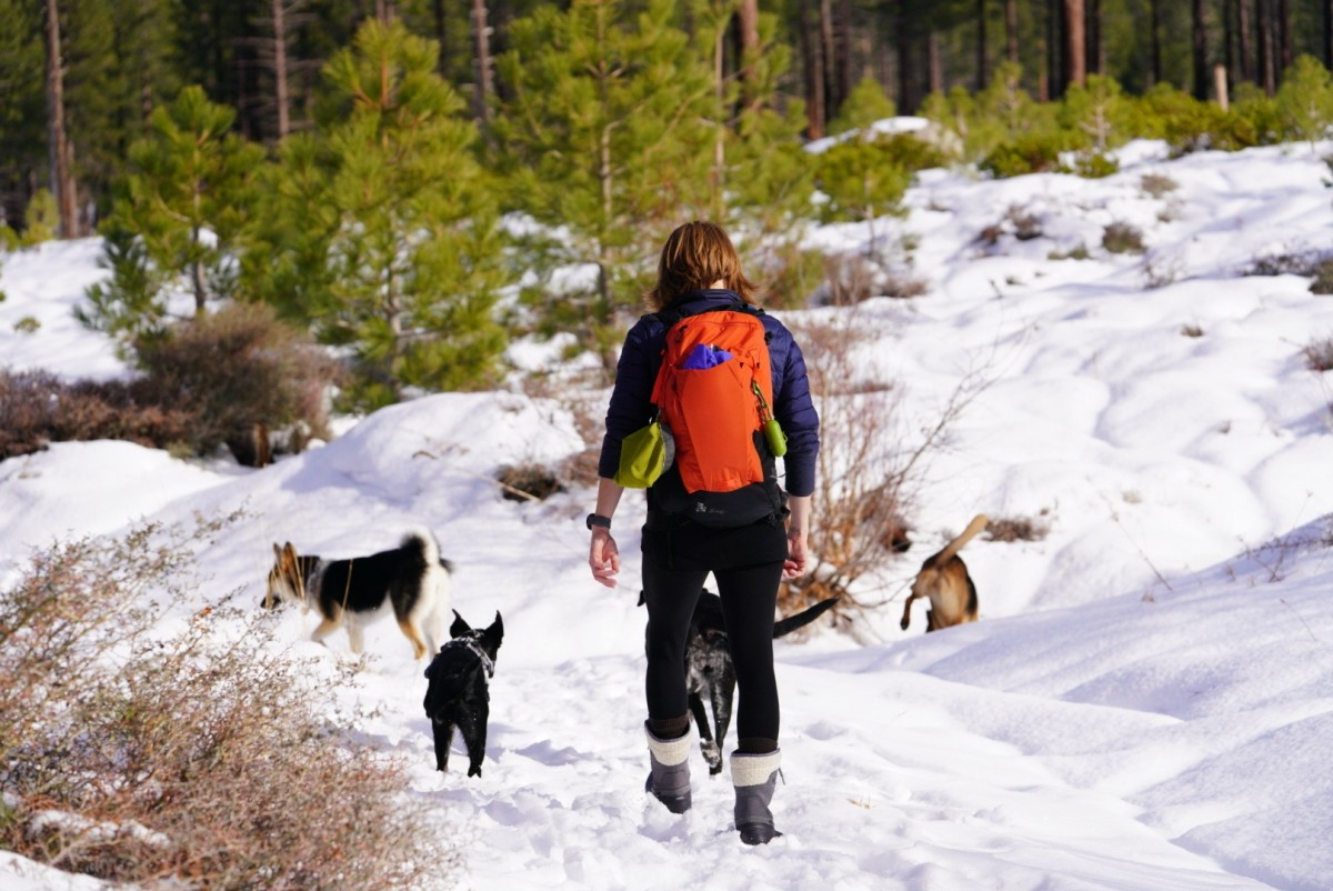 Black Diamond Nitro 22L Review | Tested & Rated