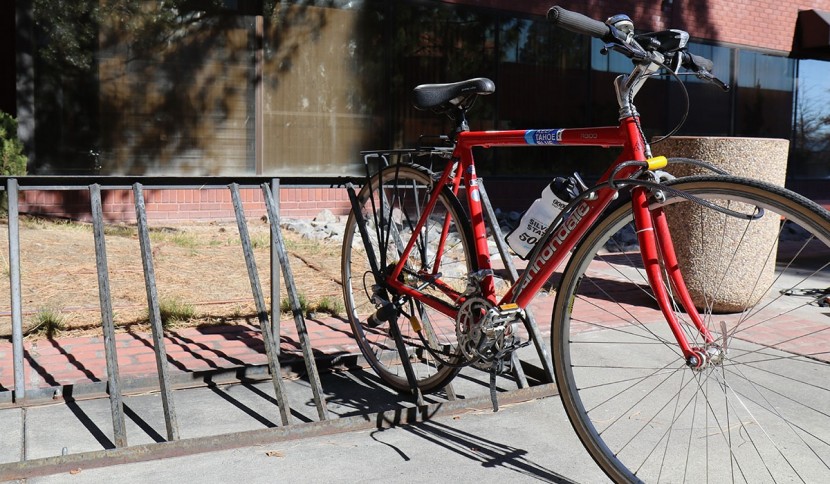 Via Velo U Lock with Cable Review Tested Rated