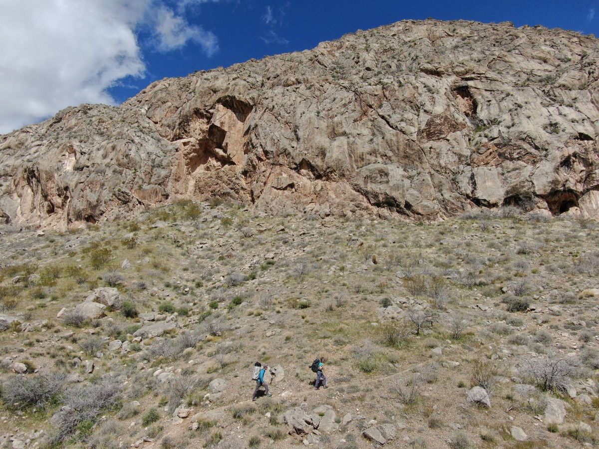 Butora Wing Review | Tested & Rated