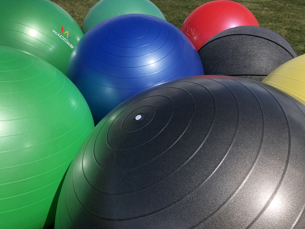 The 5 Best Exercise Balls | Tested by GearLab