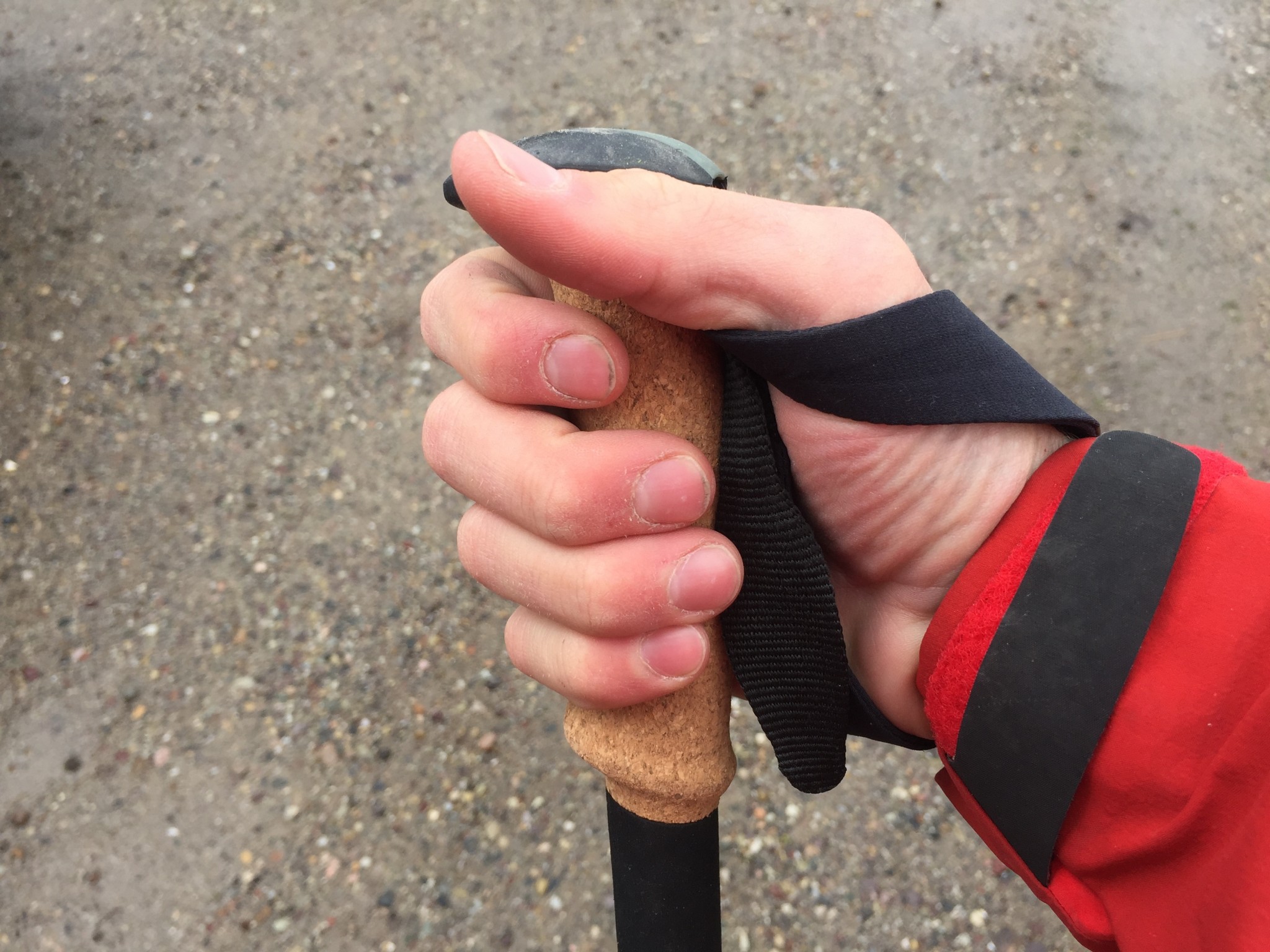 Black Diamond Alpine Carbon Cork Review | Tested