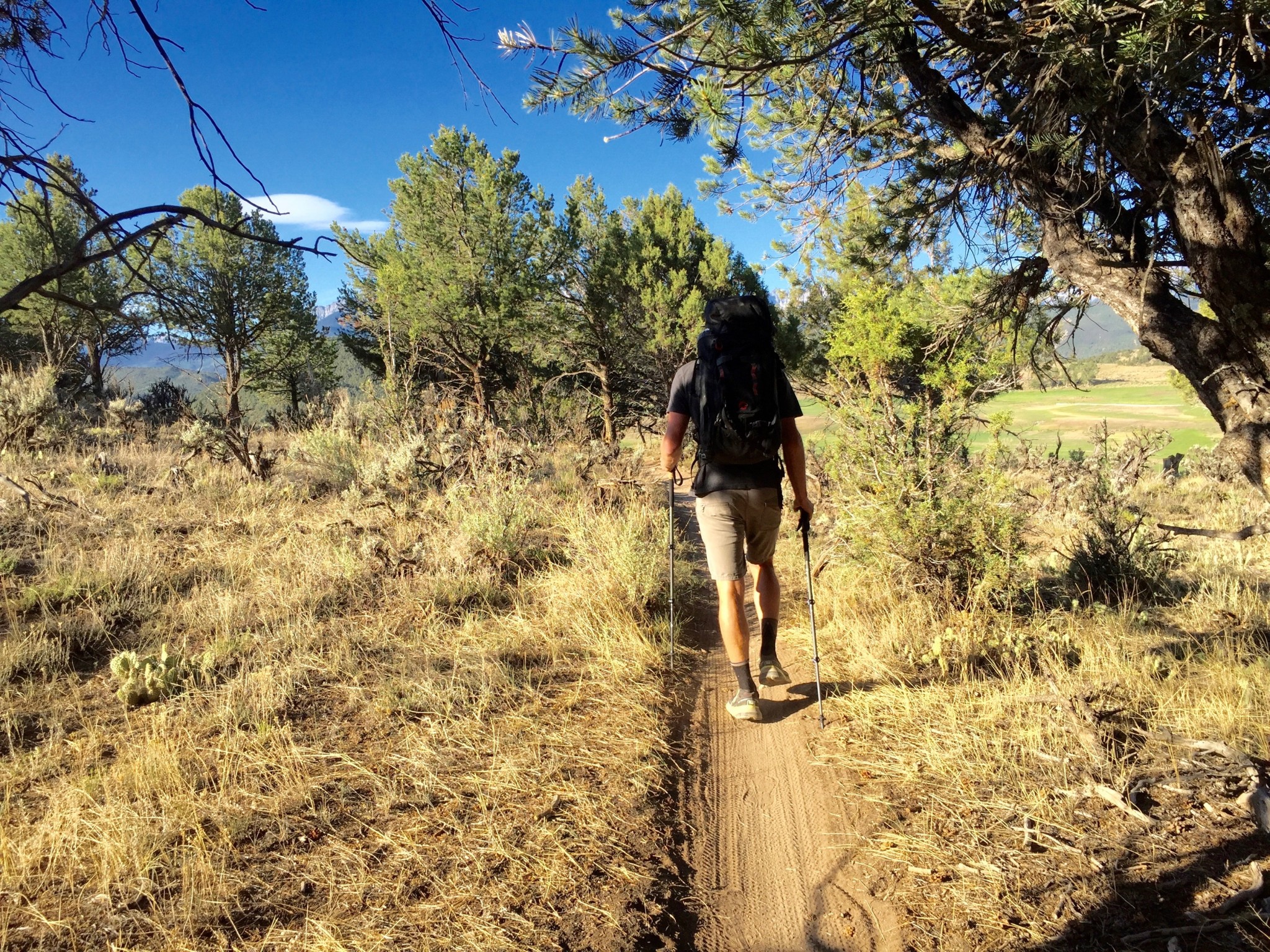 Black Diamond Alpine Carbon Cork Review | Tested