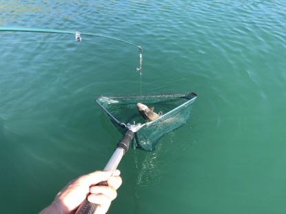 The Best Fishing Net | Tested & Rated