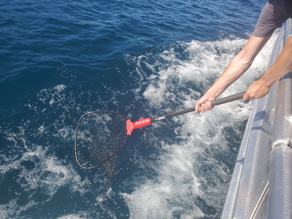 The 4 Best Fishing Nets | Tested & Rated