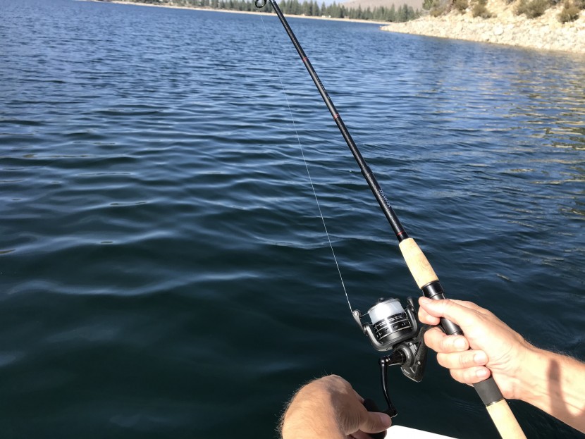 Most popular fishing line store