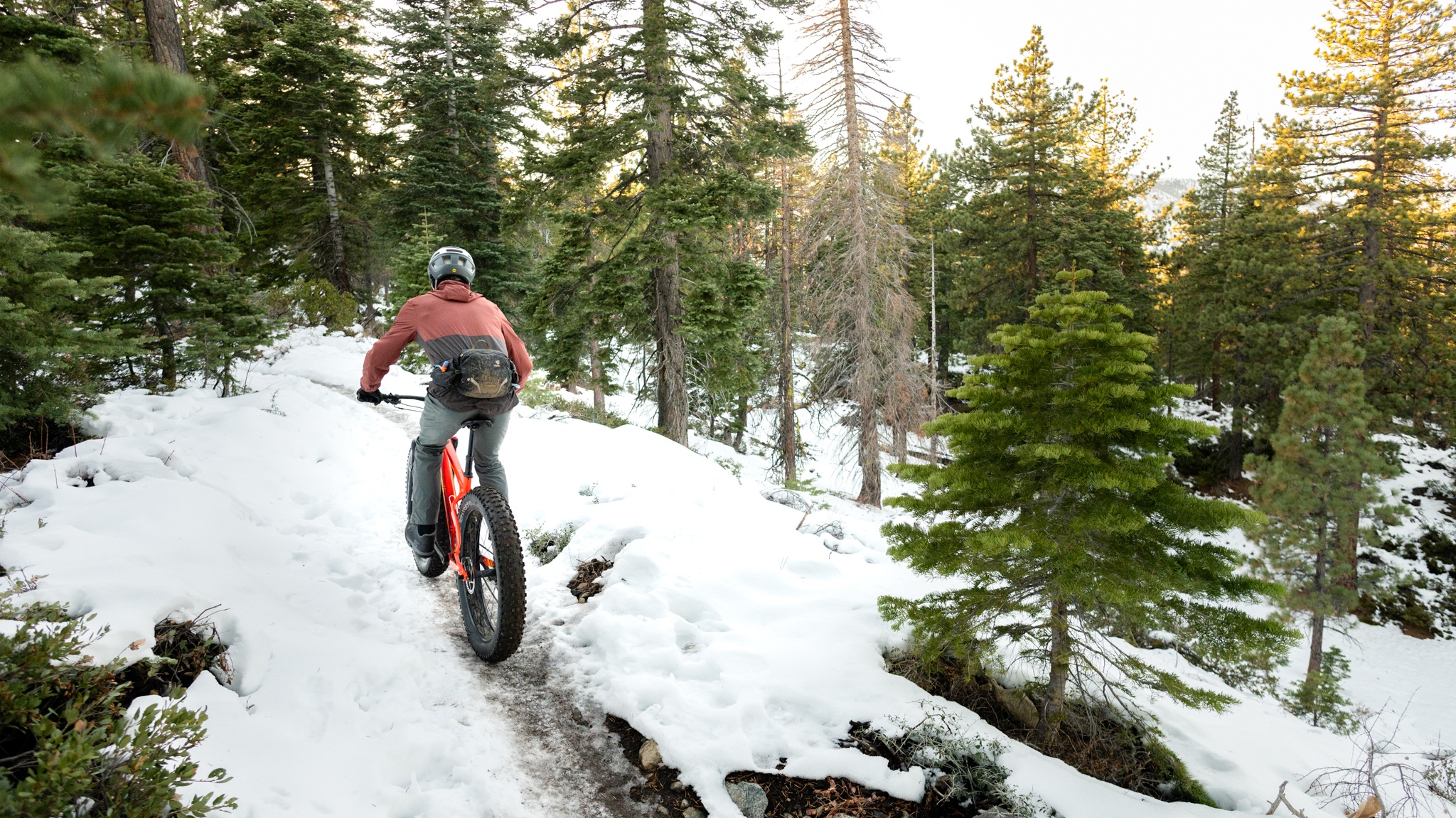 The 5 Best Fat Bikes | Tested by GearLab