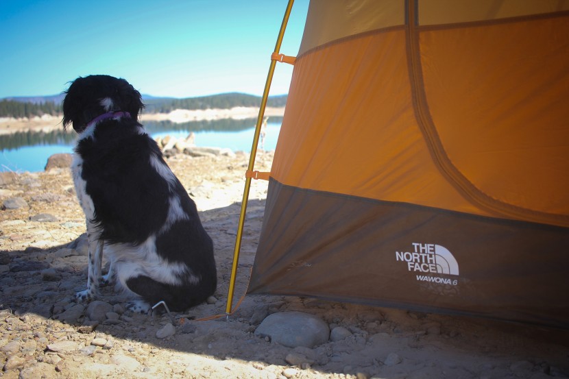 The North Face Wawona 6 Review | Tested & Rated The North Face Wawona 6 Review | Tested & Rated