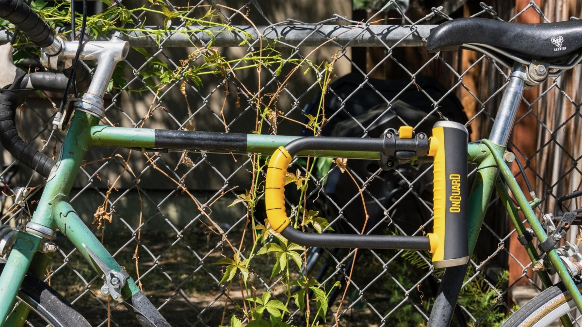 OnGuard Brute STD Review | Tested & Rated