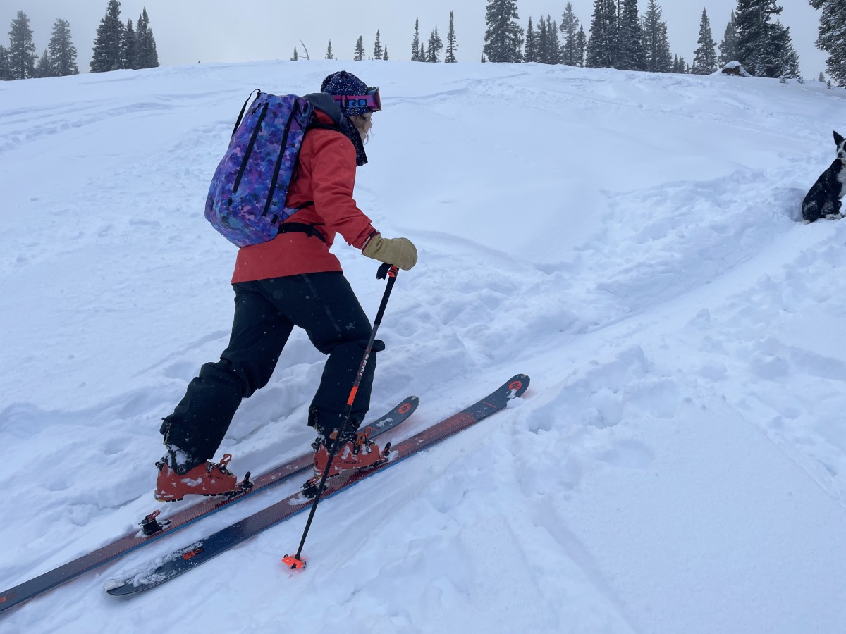 The Best 5 Backcountry Ski Poles of 2024 | Tested