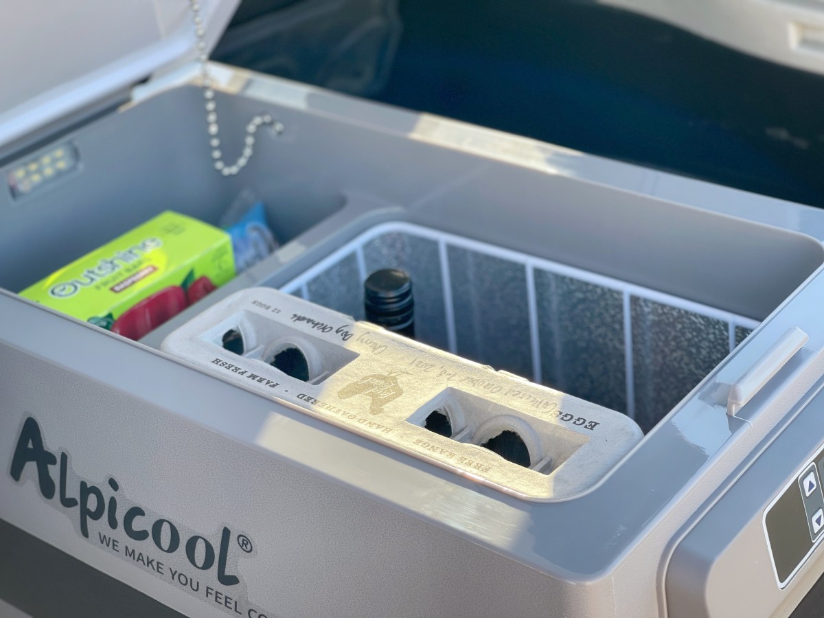 Alpicool CF45 Review | Tested & Rated