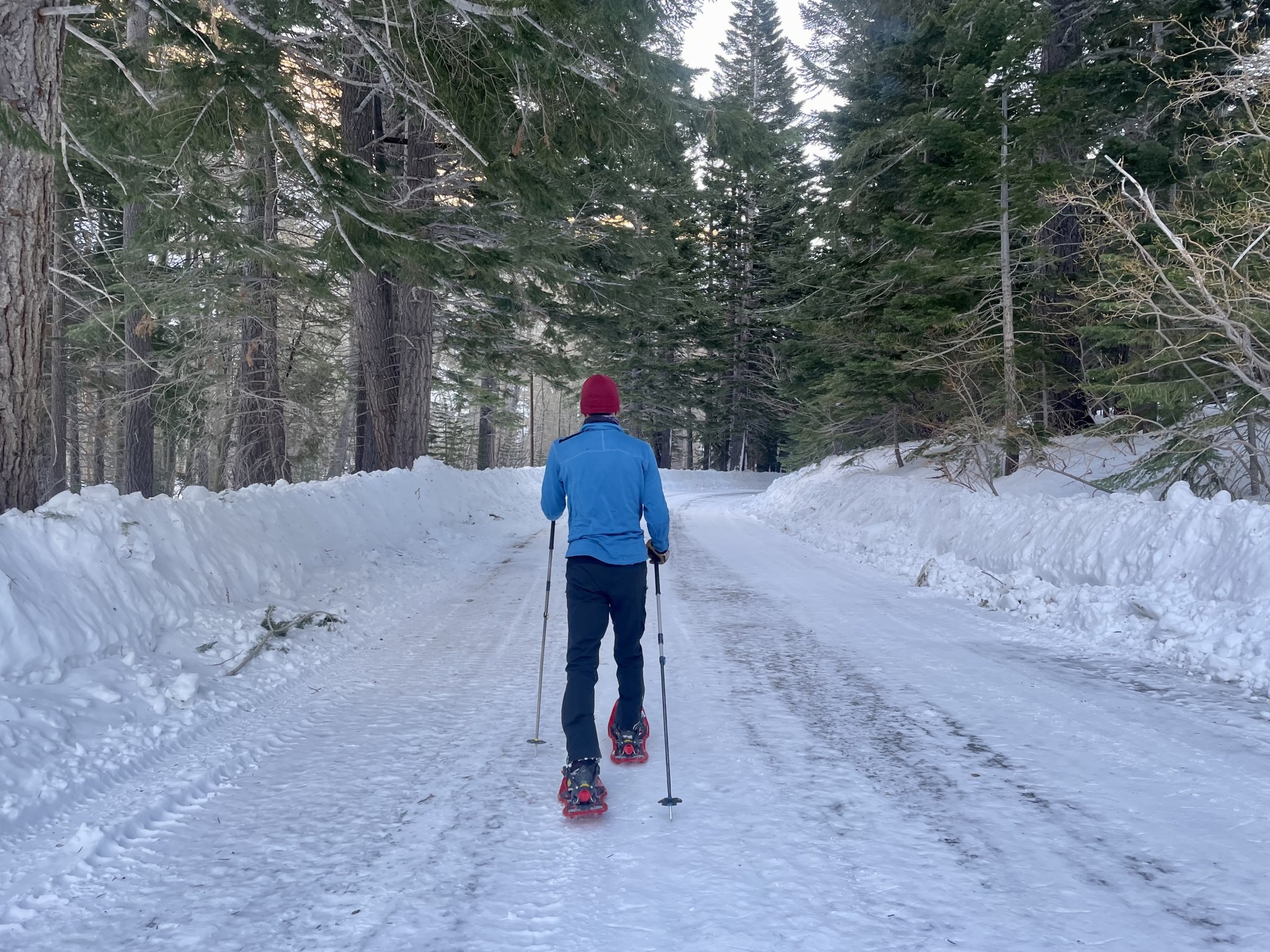 Tsl Symbioz Hyperflex Elite Review Tested By Gearlab
