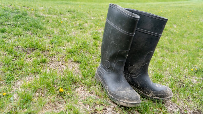 10 Best Rain Boots of 2025 | Tested & Rated