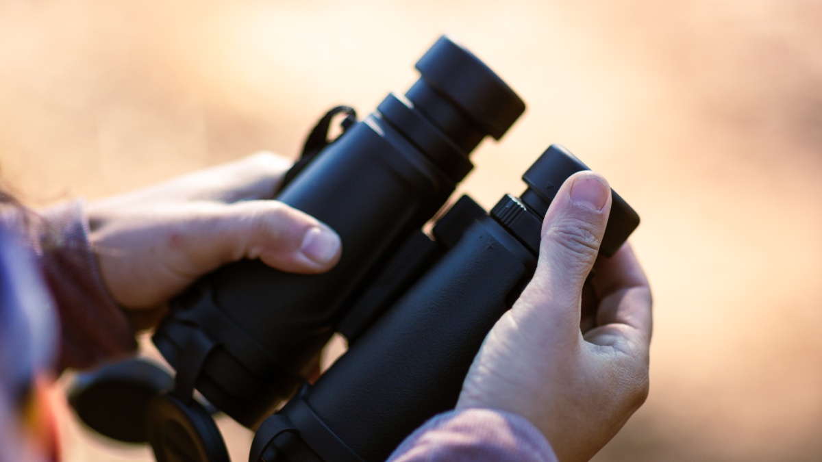 The 7 Best Binoculars of 2024 | Tested by GearLab