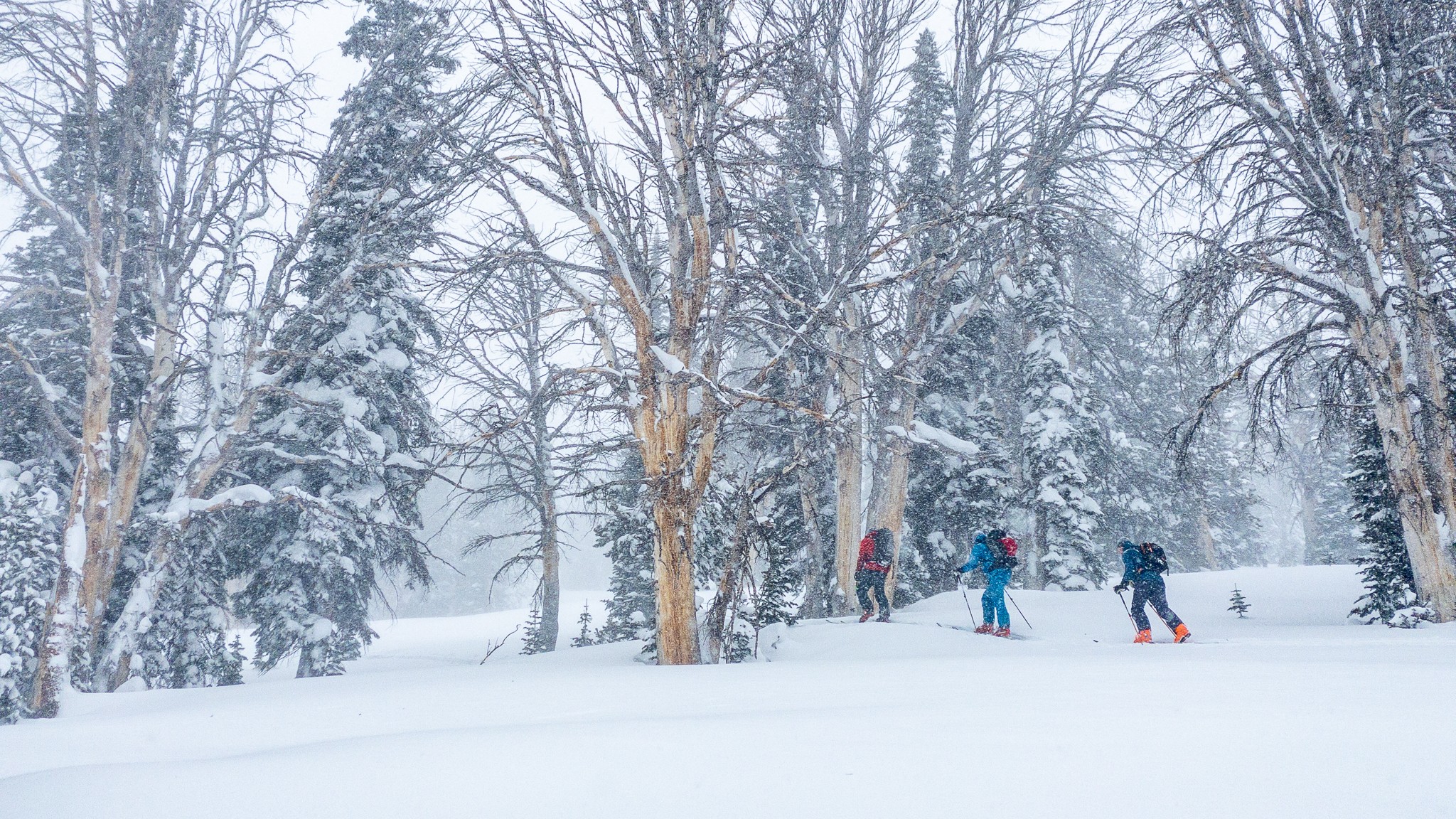 The 5 Best Backcountry Skis of 2023 | Tested by GearLab