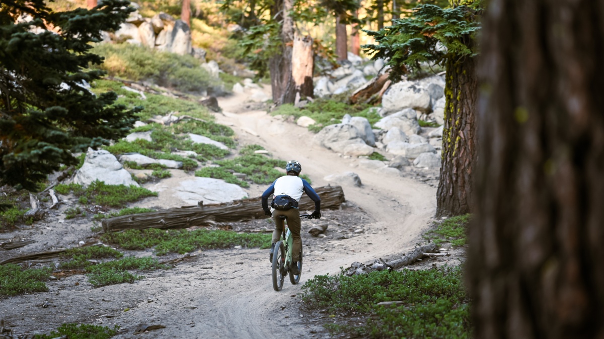 Shimano ME7 Review | Tested & Rated