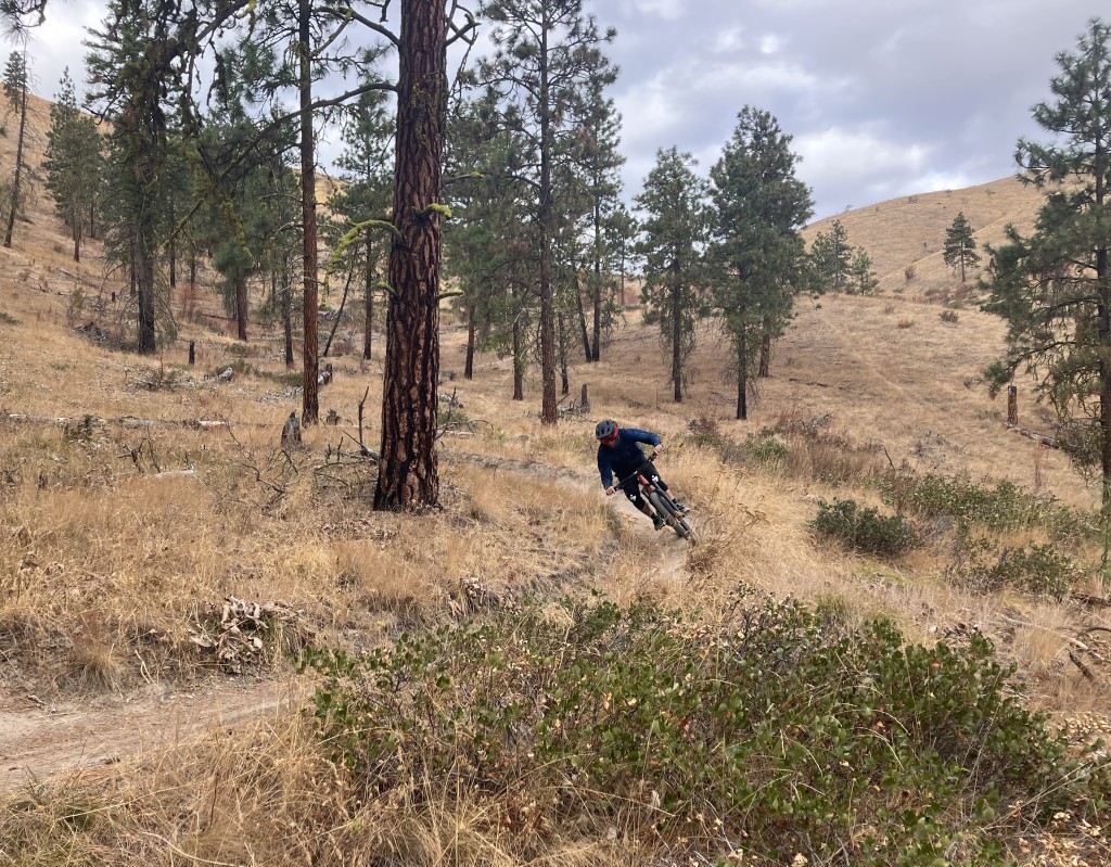 Specialized Gambit Review | Tested & Rated