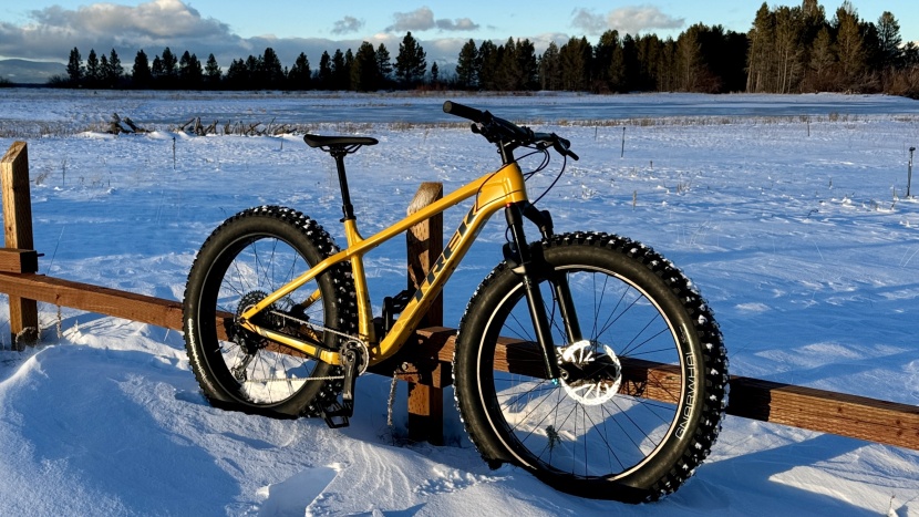 The 4 Best Fat Bikes | Tested & Rated