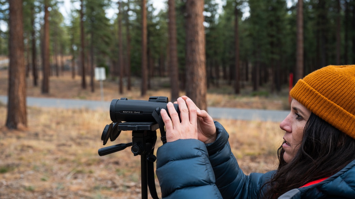 Leica Noctivid 10x42 Review | Tested & Rated