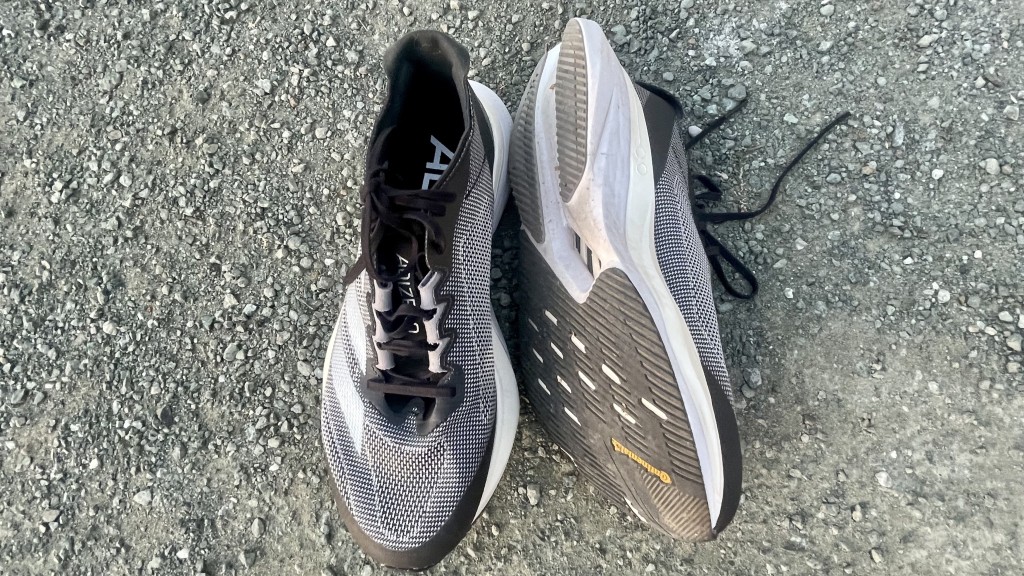 Adidas Adizero Boston 12 - Women's Review | Tested