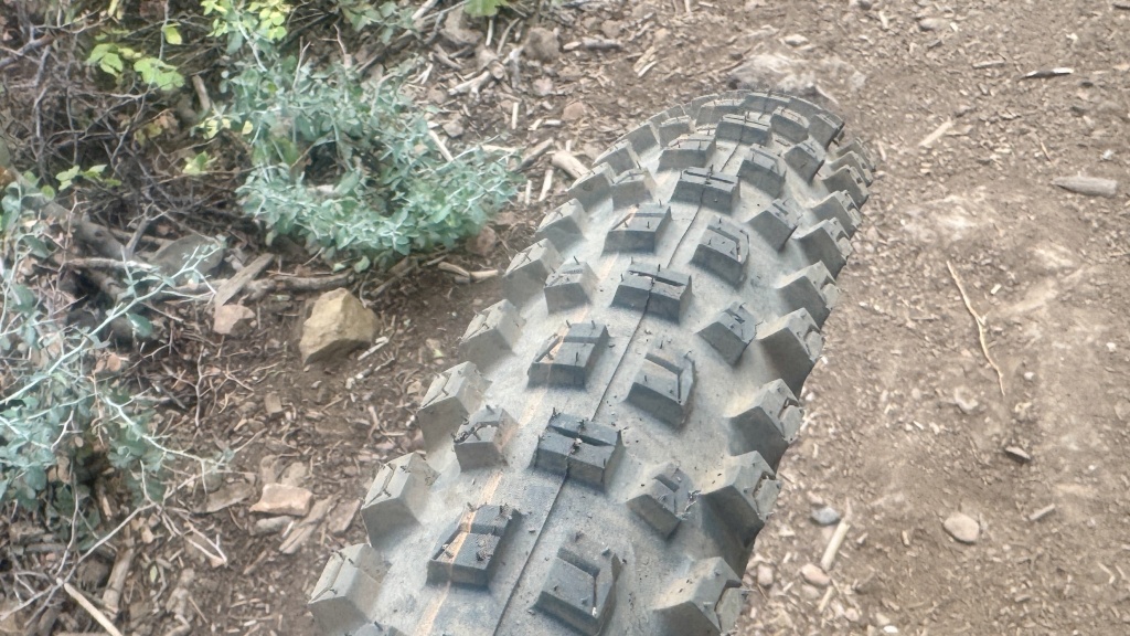 Schwalbe Albert RADIAL Trail Pro Review | Tested